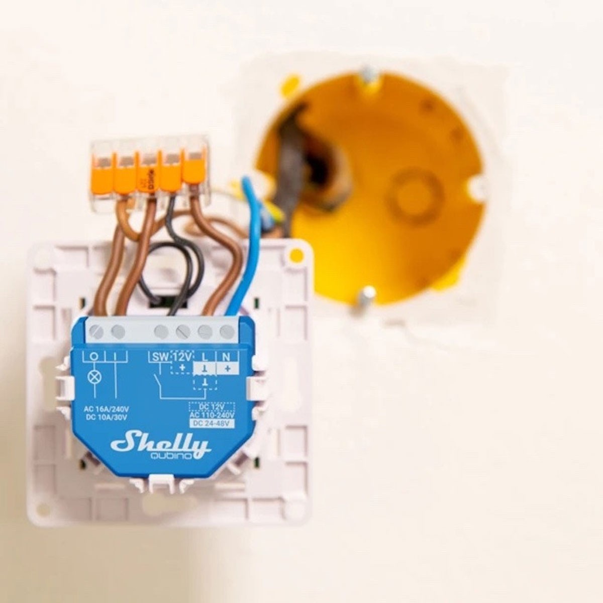 Shelly Qubino Wave 1