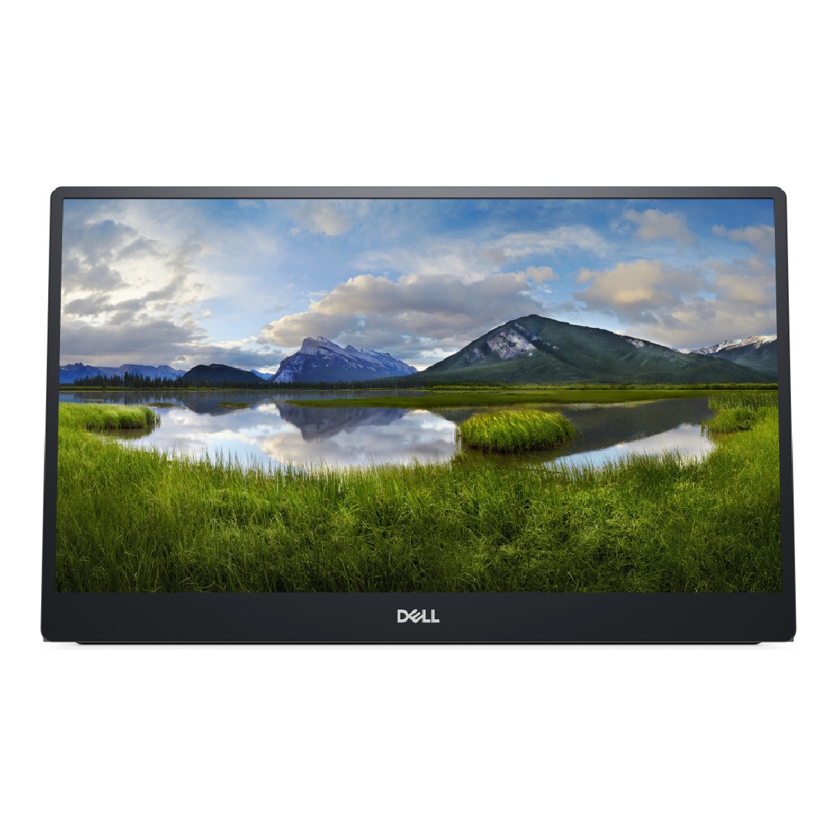 Portable Monitor Dell P1424H 14" IPS FHD Black